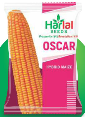 Harlal Seeds